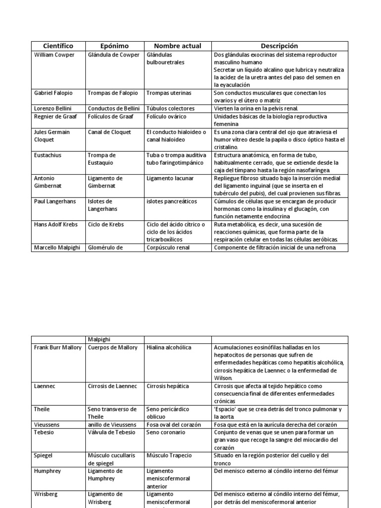 Eponimos Pdf Riñón Corazón