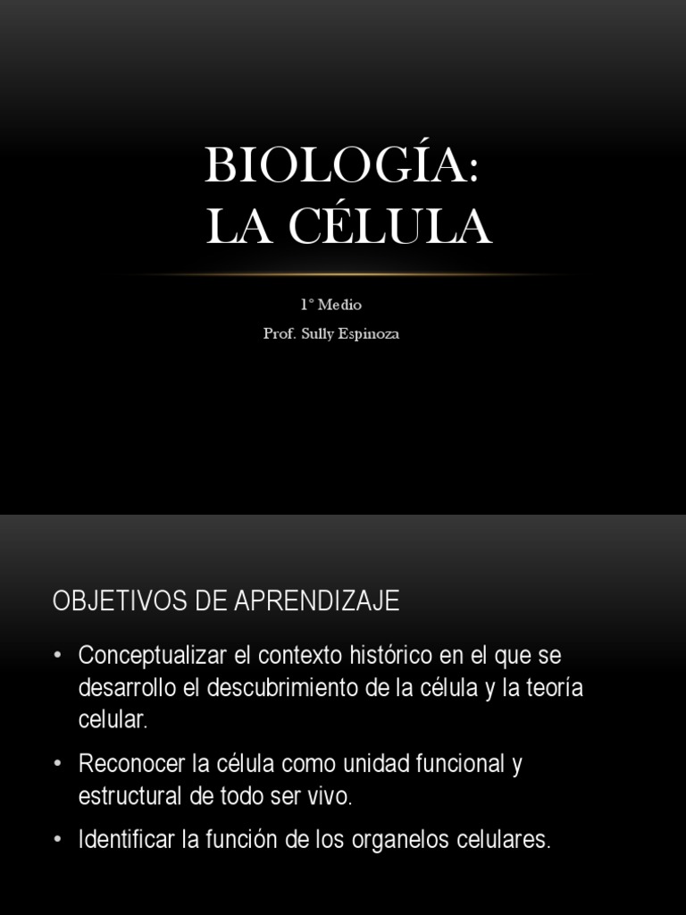 Teoria Celular Biologia 1 - MEDIO | PDF | Citoplasma | Biología Celular)