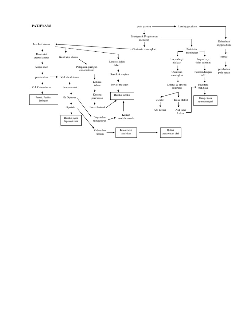 Pathway Postpartum | PDF