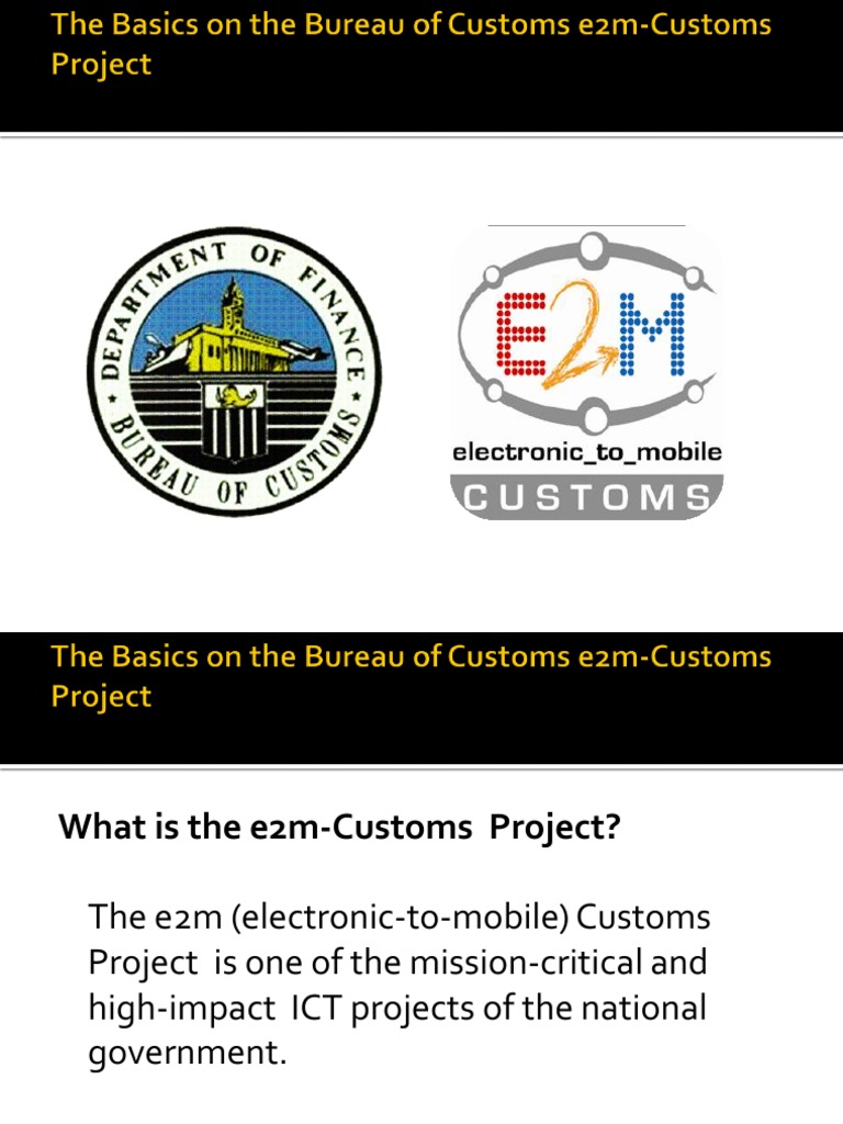 The Basics On The Bureau of Customs E2m-Customs | PDF | Debits And ...