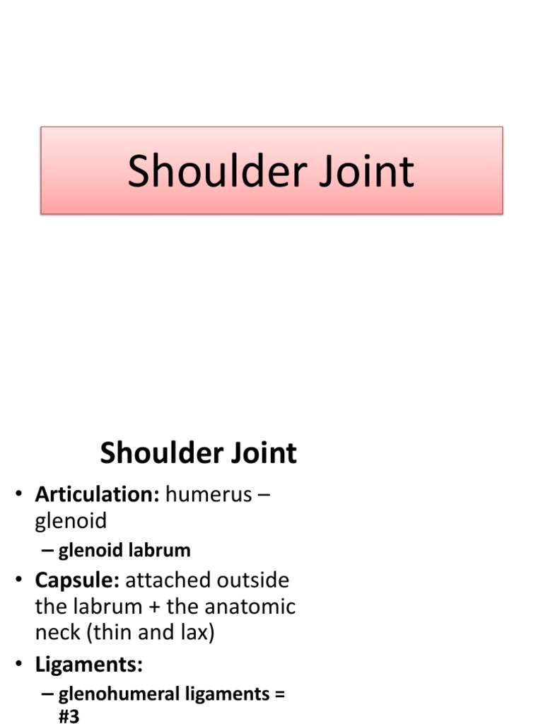 3 Shoulder Joint - Chapter Summary - Anatomy of The Shoulder Joint by ...