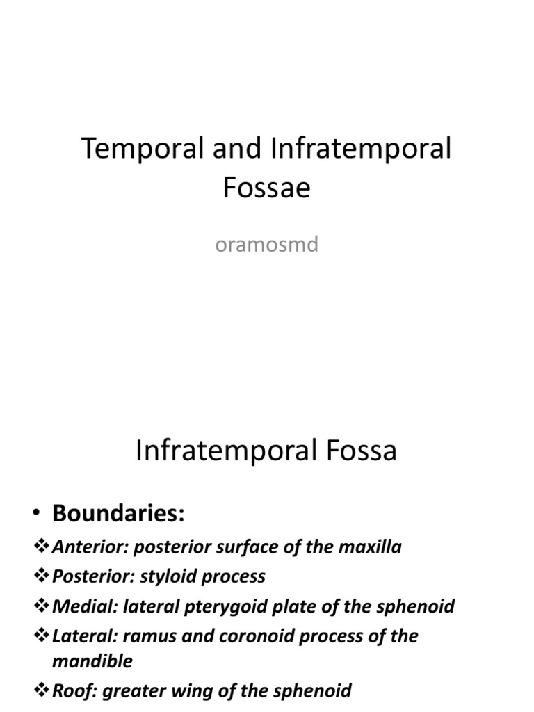 Temporal and Infratemporal Fossa Anatomy | PDF | Animal Anatomy ...