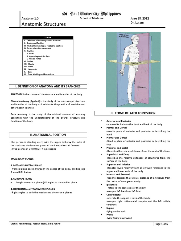 Anatomy Overview and Key Concepts | PDF | Anatomical Terms Of Motion ...