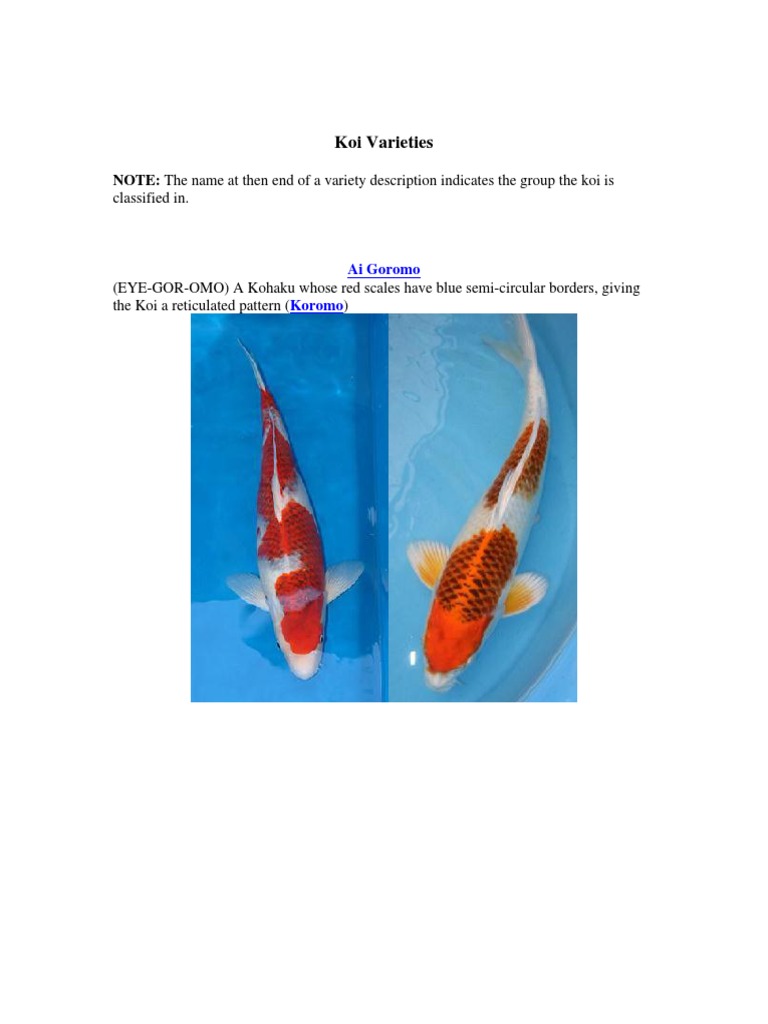 Koi Varieties | PDF | Fish And Humans | Aquatic Vertebrates