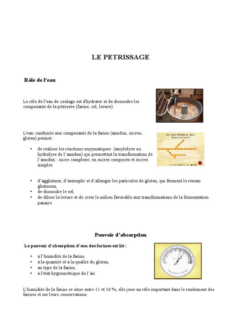 Le Pétrissage PDF | PDF | Gluten | Cuisson