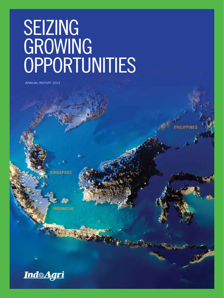 Indofood Agri-Resources - IndoAgri Ar2013 | PDF | Indonesia | Palm Oil
