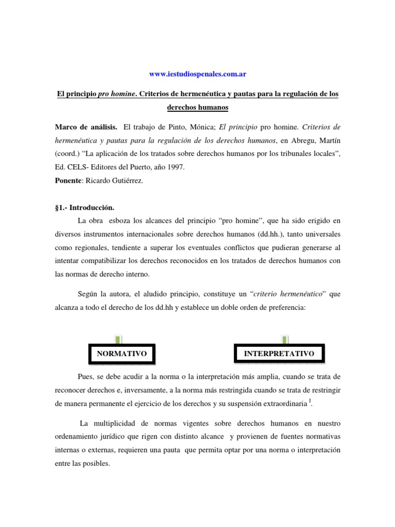 Principio Pro Homine y Derechos Humanos | PDF | Tortura | Estado (política)