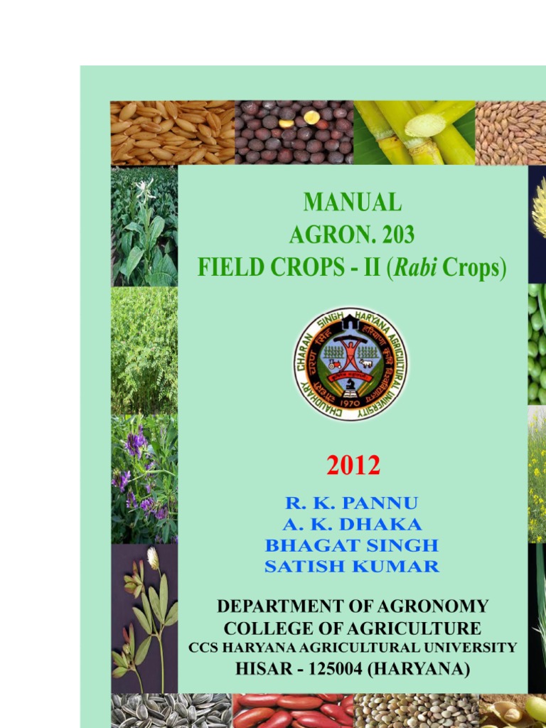 Rabi Crops | PDF | Sowing | Barley