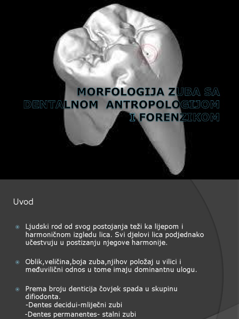 Morfologija Ploda