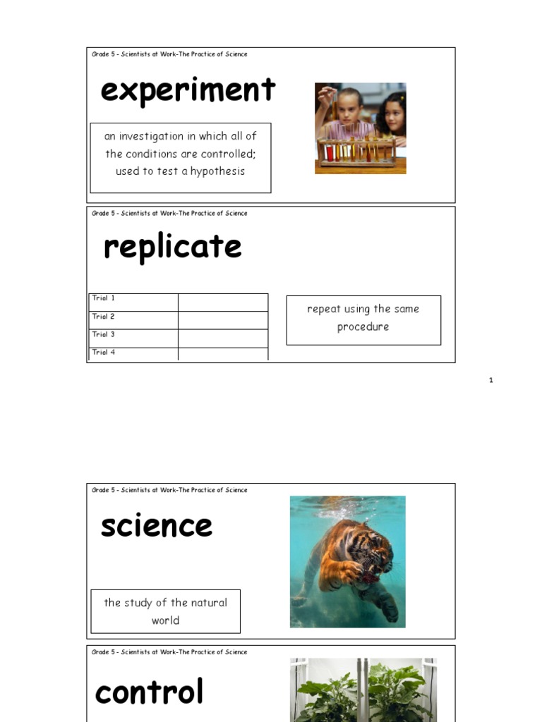 Grade 5 Science: Investigating Experiments | PDF | Scientist | Experiment