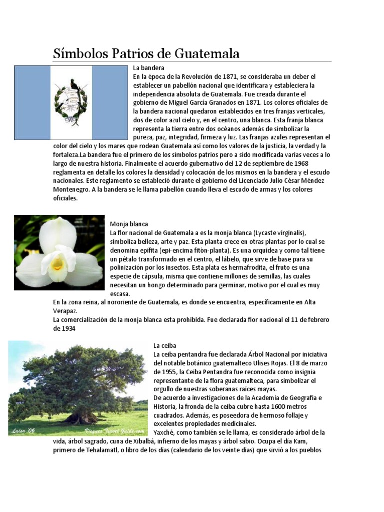 Símbolos Patrios de Guatemala | PDF | Orchidaceae | Jardinería