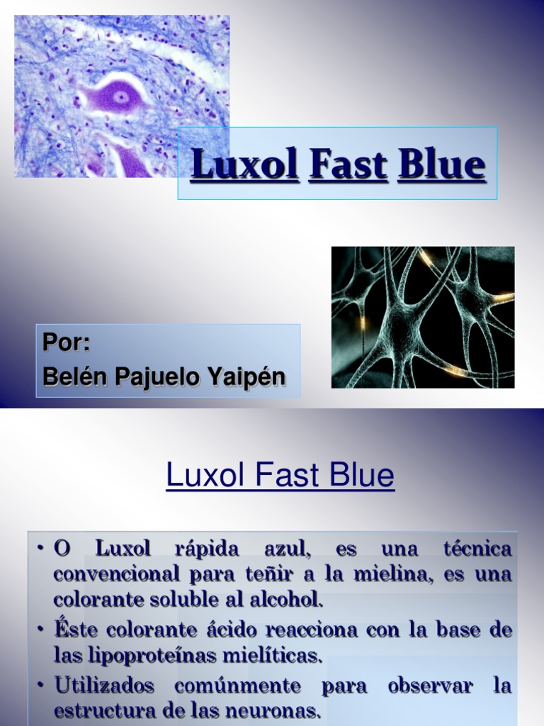 Luxol Past Blue | PDF