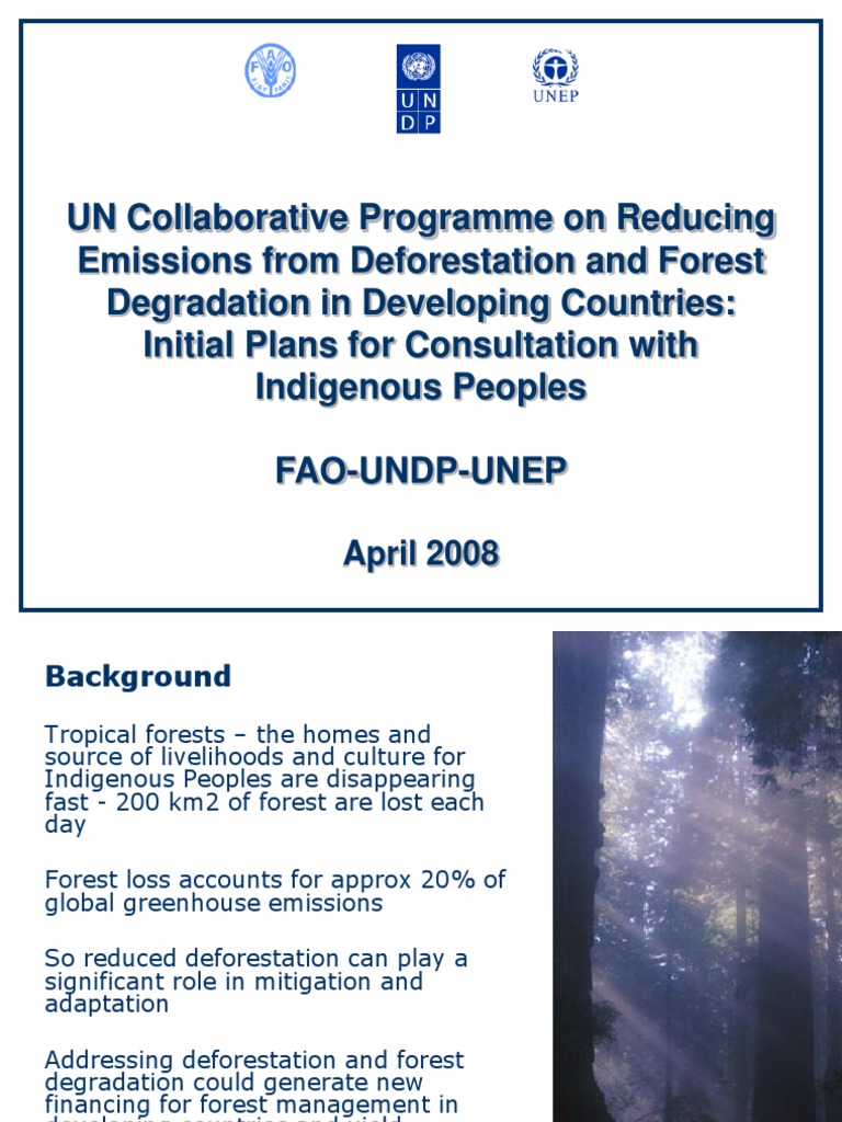 UN Collaborative Programme On Reducing Emissions From Deforestation and Forest Degradation in ...