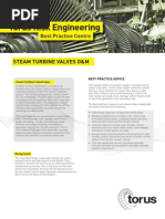 Trevitesting | PDF | Valve | Leak