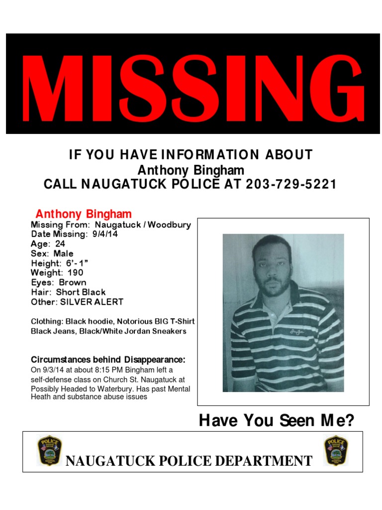 Missing Person Poster | PDF
