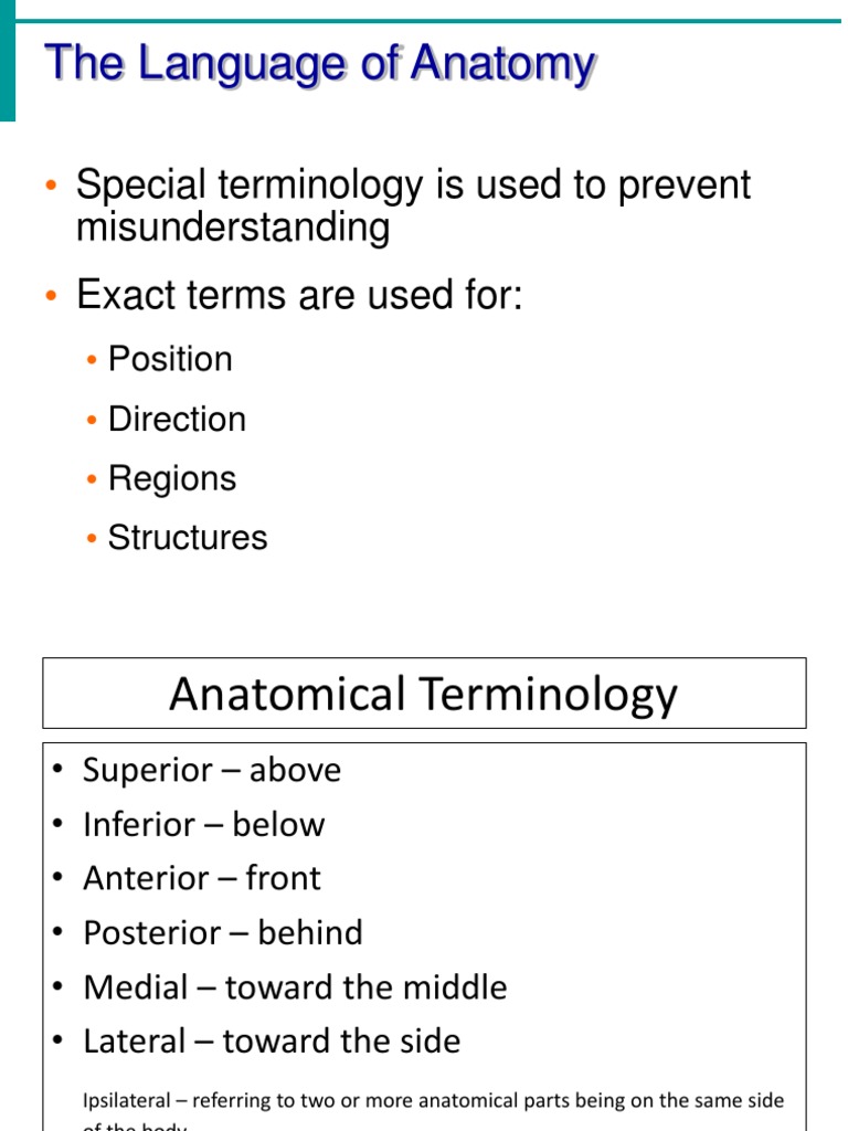 An Introduction to Anatomical Terminology, Body Organization, and ...