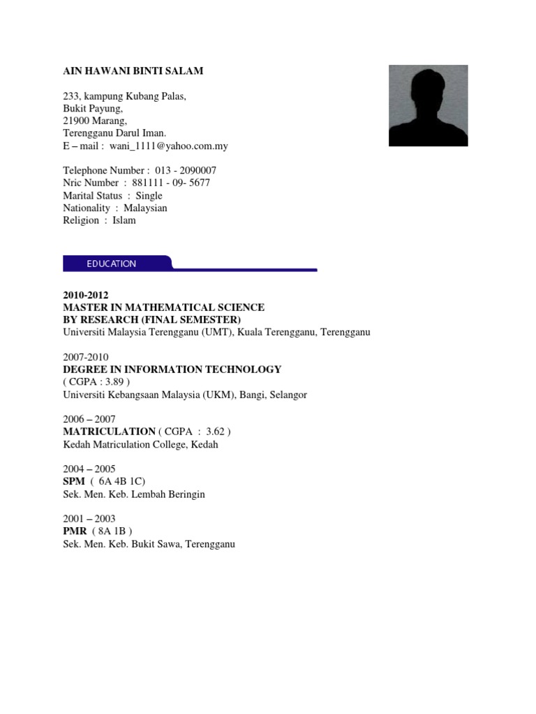 Ain Hawani binti Salam: Curriculum Vitae for a Promising Young ...