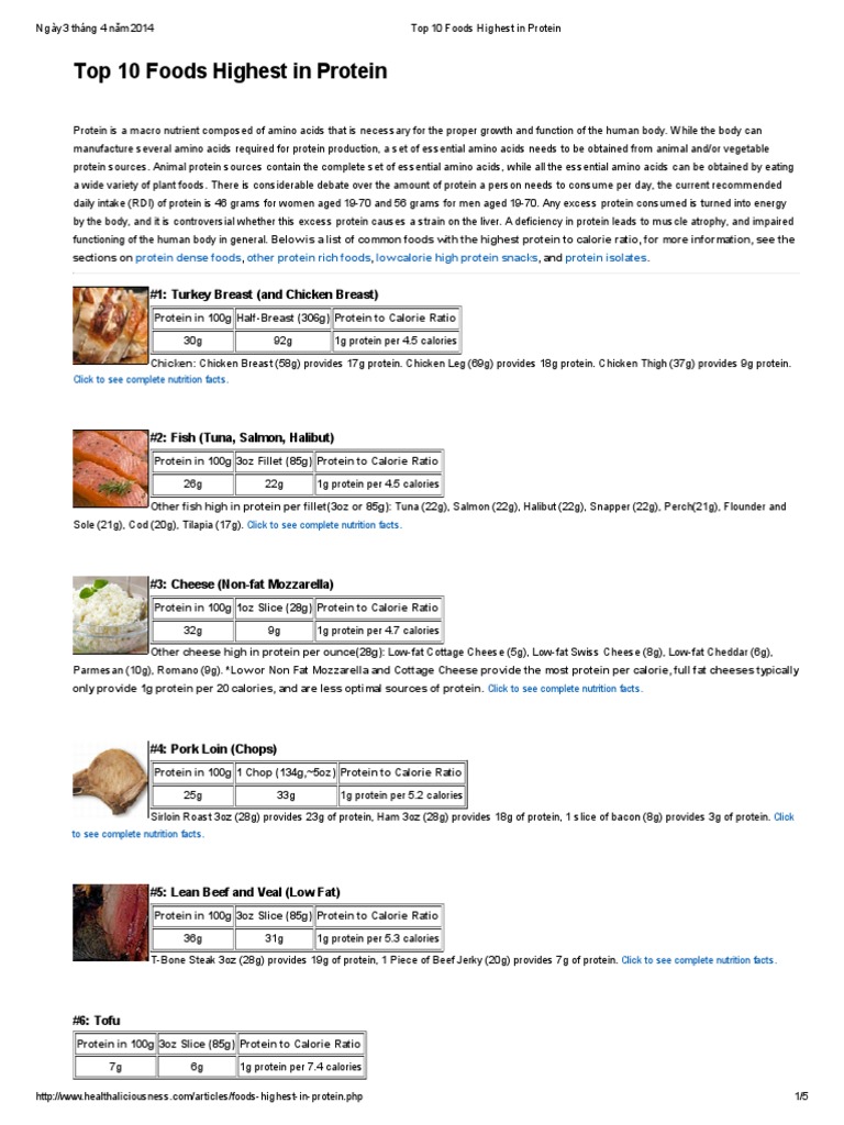 Top 10 Highest Protein Foods | PDF | Soybean | Nut (Fruit)