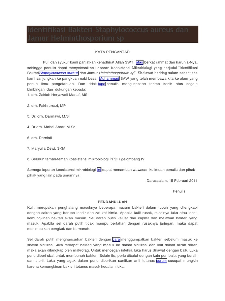 Identifikasi Bakteri Staphylococcus Aureus Dan Jamur Helminthosporium ...