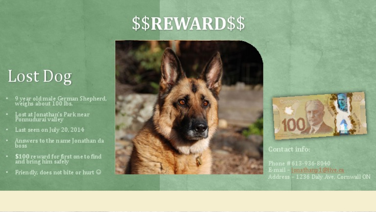 Lost German Shepherd in Ponnudurai | PDF