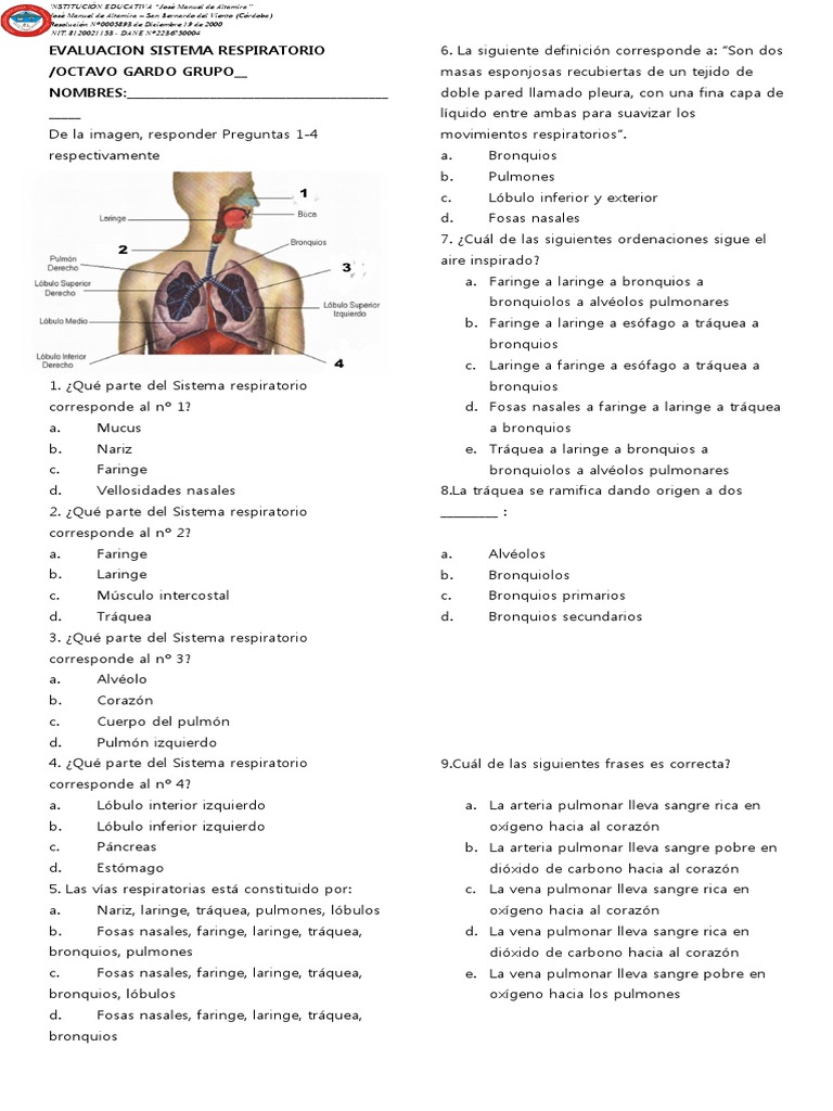 Evaluacion Sistema Respiratorio2014 | PDF | Pulmón | Sangre