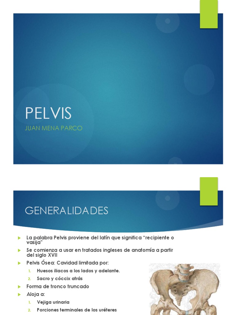 Clase 1 Pelvis Osea Pdf Pelvis Cuerpo Humano