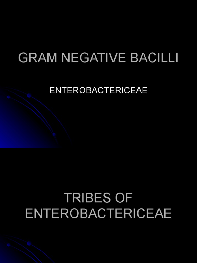 Gram Negative Bacilli | PDF | Salmonella | Microbiology