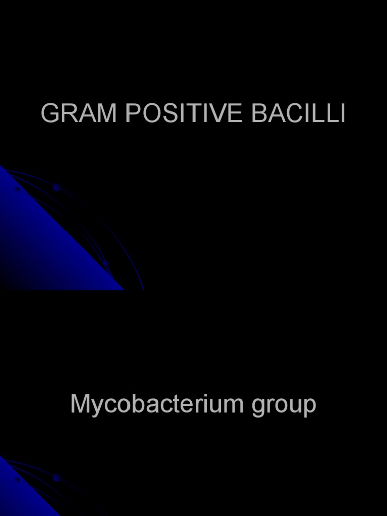 GRAM POSITIVE BACILLI | Anthrax | Tuberculosis