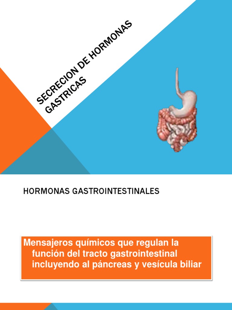 Hormonas Del Sistema Digestivo Images And Photos Finder 