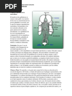 Anatomia y Fisiologia de Aparato Reproductor Del Gallo | PDF | Salud y ...