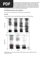 Understanding Spectrograms in Speech | PDF | Vowel | Spectrum