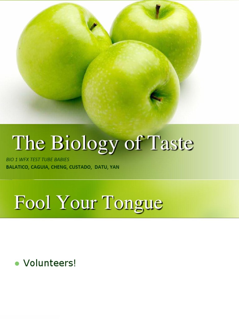 Understanding Taste for Biology Students | PDF