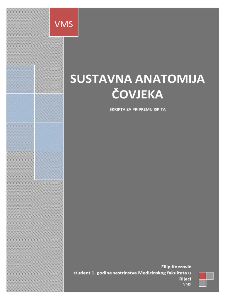 Sustavna Anatomija Covjeka-Libre | PDF