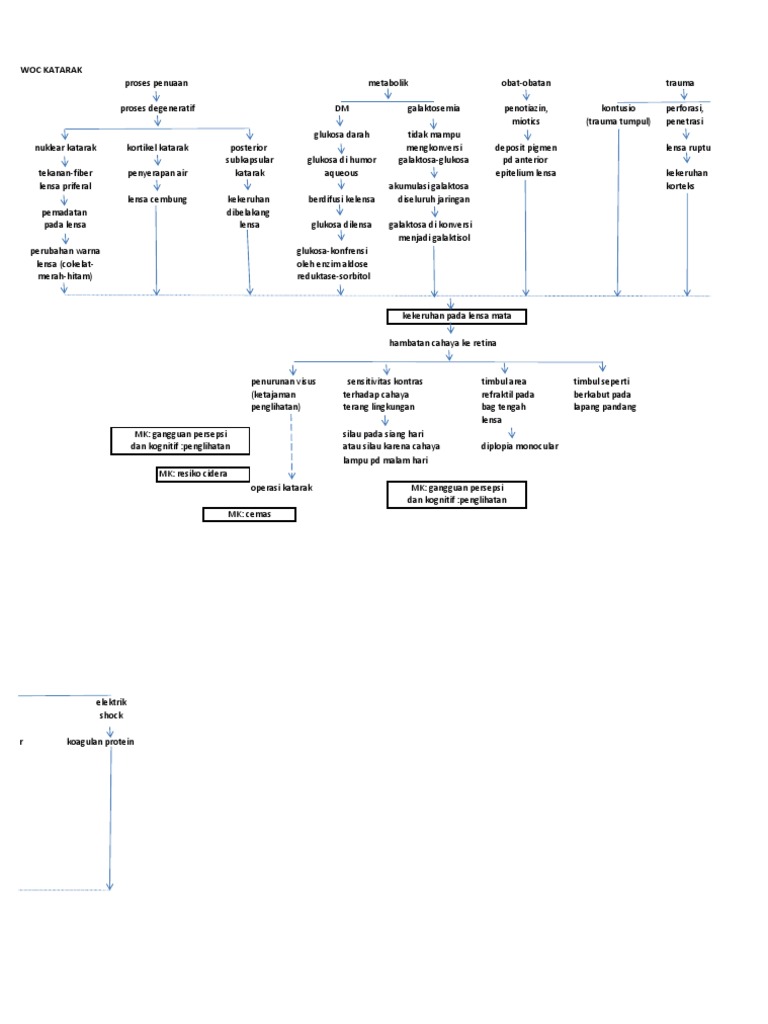 Woc Katarak | PDF