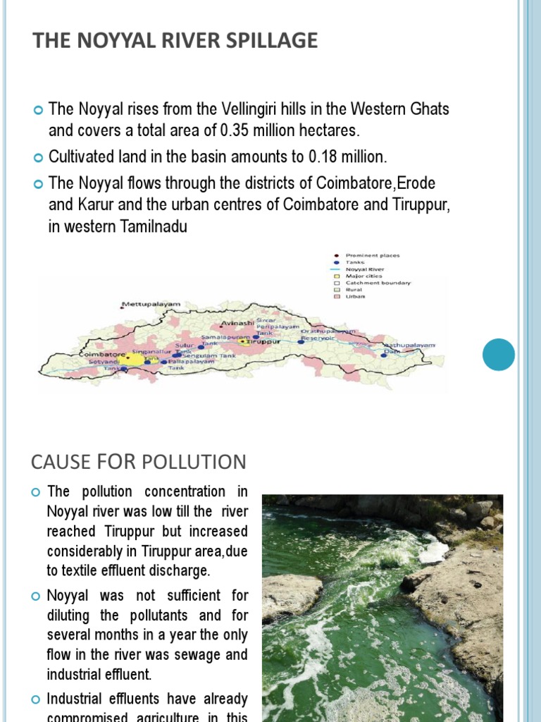 Noyyal River Pollution and Impact Analysis | PDF | River | Fresh Water