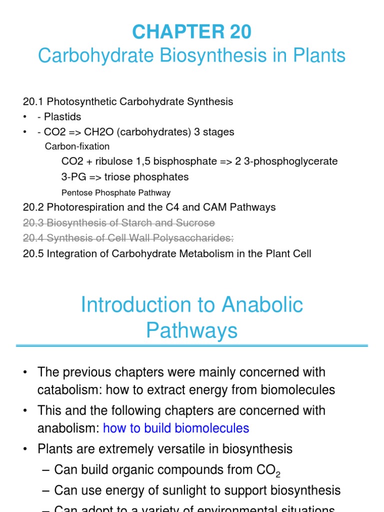 Carbohydrate Biosynthesis in Plants: 20.3 Biosynthesis of Starch and ...