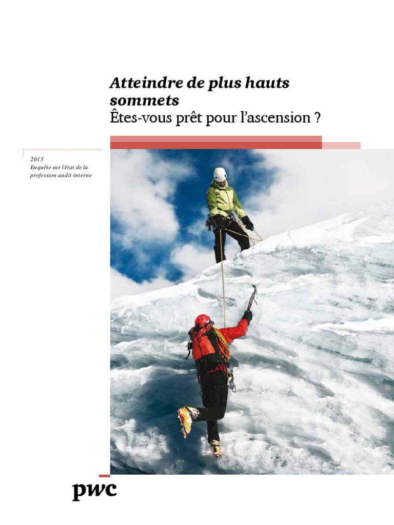 Audit Interne PWC - Brochure PDF | PDF | Audit interne | Audit