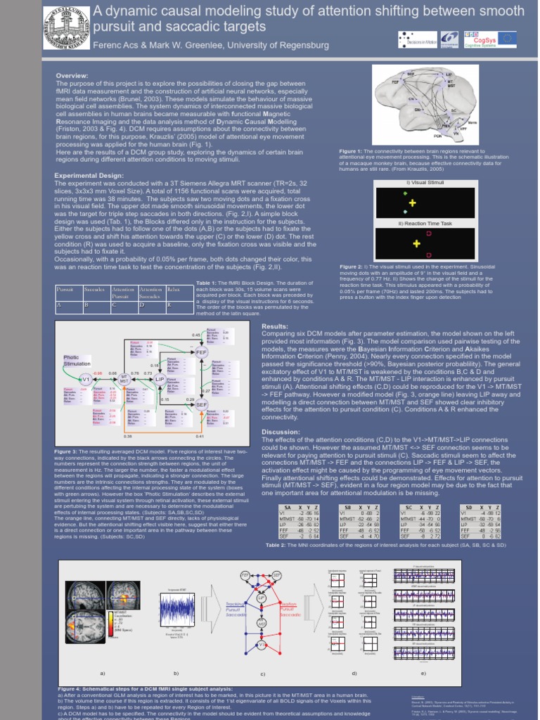 Florenz Poster v1 0 | PDF | Visual Cortex | Functional Magnetic Resonance Imaging