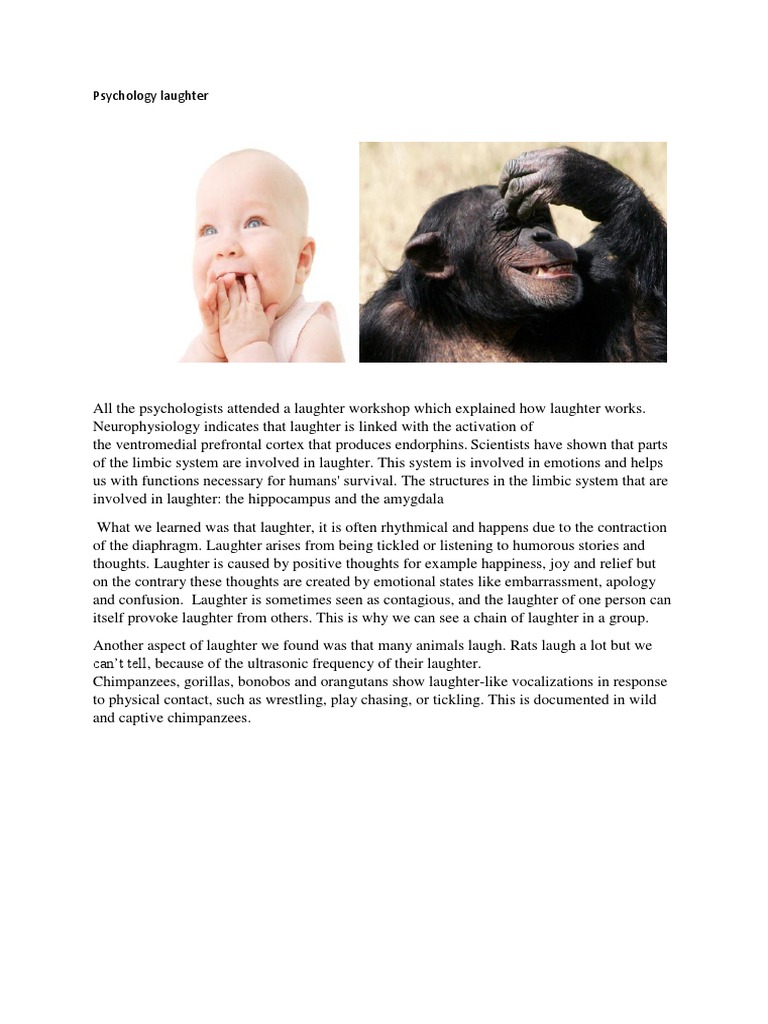 Laughter | PDF