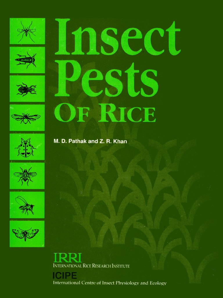 Insect Pests of Rice | PDF | Pupa | Rice