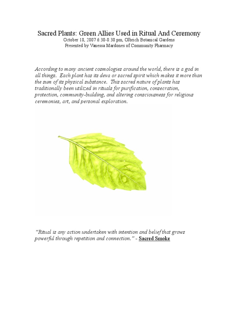 Sacred Plants: Green Allies Used in Ritual and Ceremony | PDF | Rituals ...