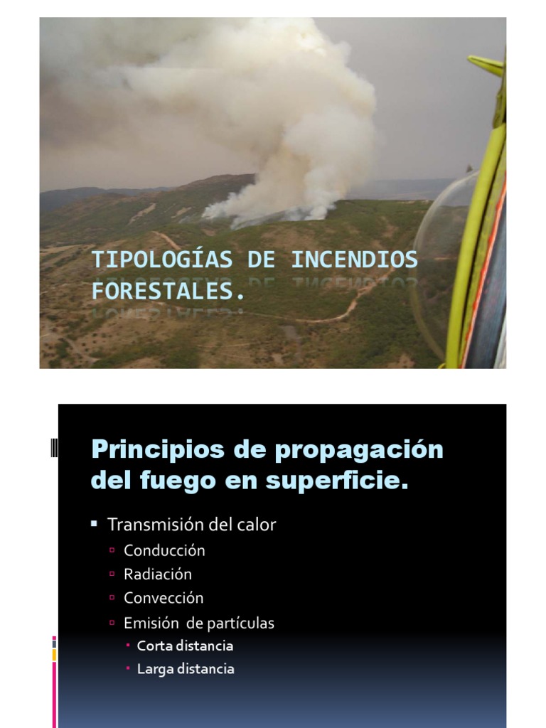 Tipologías de Incendios Forestales | PDF | Velocidad del viento ...