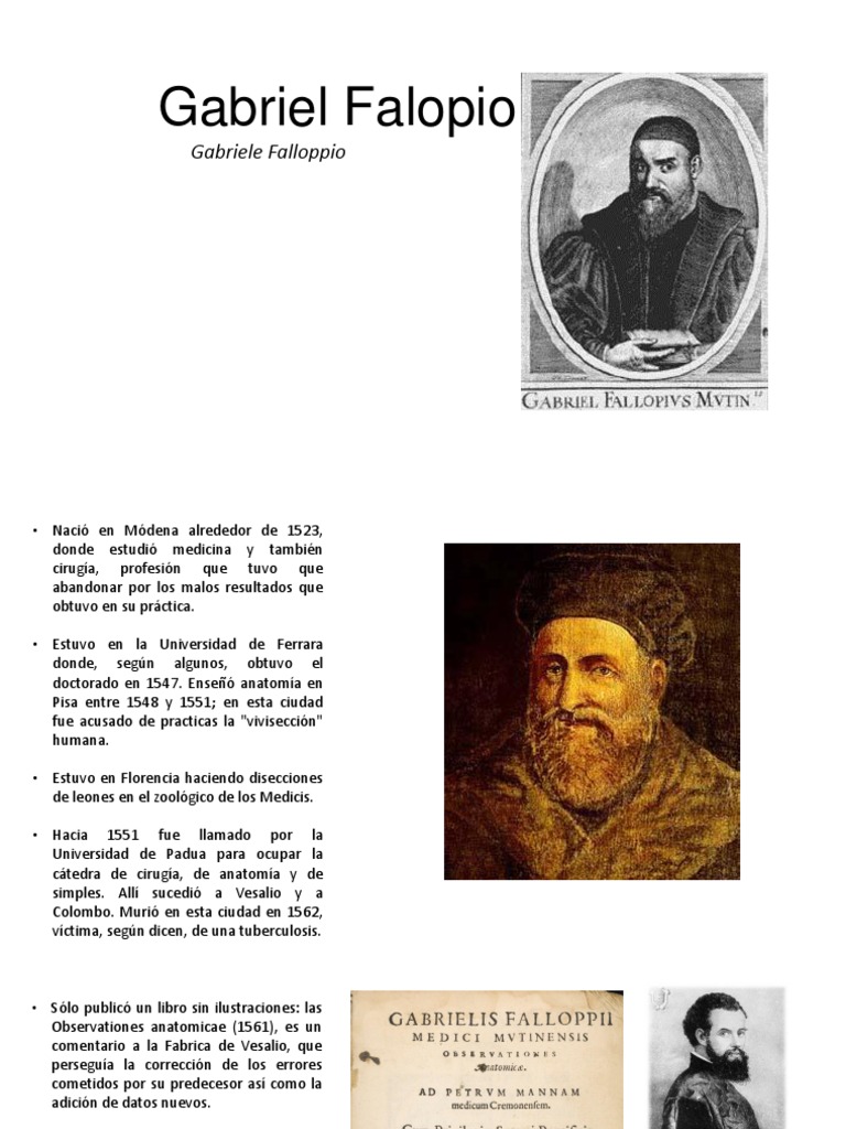 Gabriel Falopio | PDF