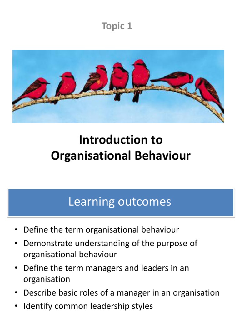 1introduction To OB | PDF | Organizational Behavior | Leadership