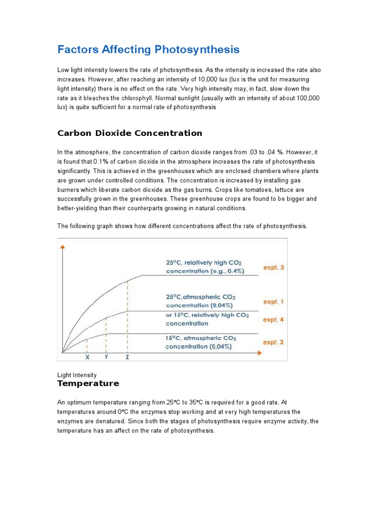 Factors Affecting Photosynthesis | PDF | Chlorophyll | Photosynthesis