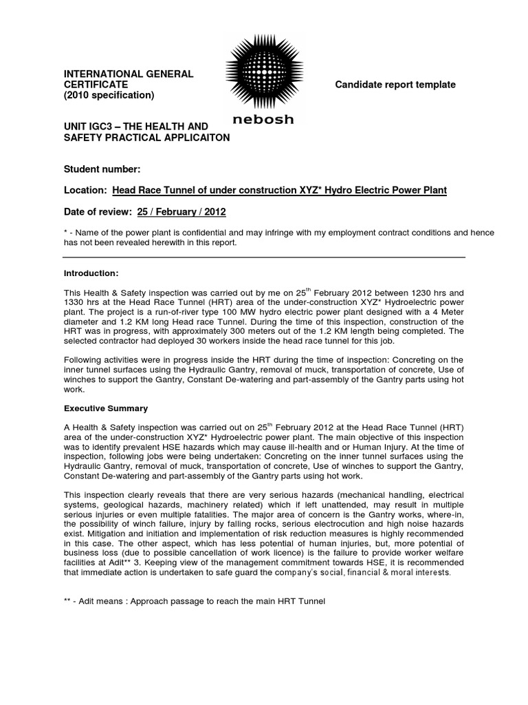 IGC 3 - Management Report - IGC 3 Sample | PDF | Rope | Employment