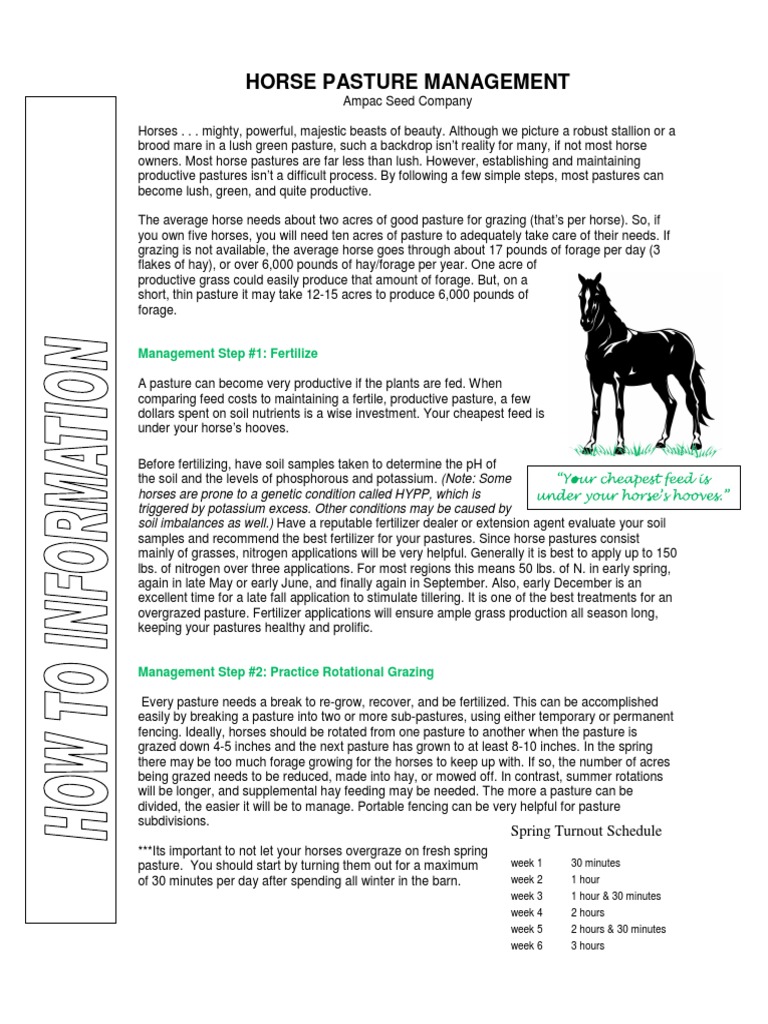 Horse Pasture Management | Grazing | Hay