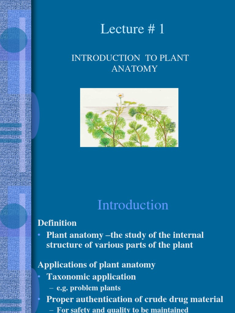 Lecture 1 - Introduction To Plant Anatomy | PDF | Pinophyta | Fern