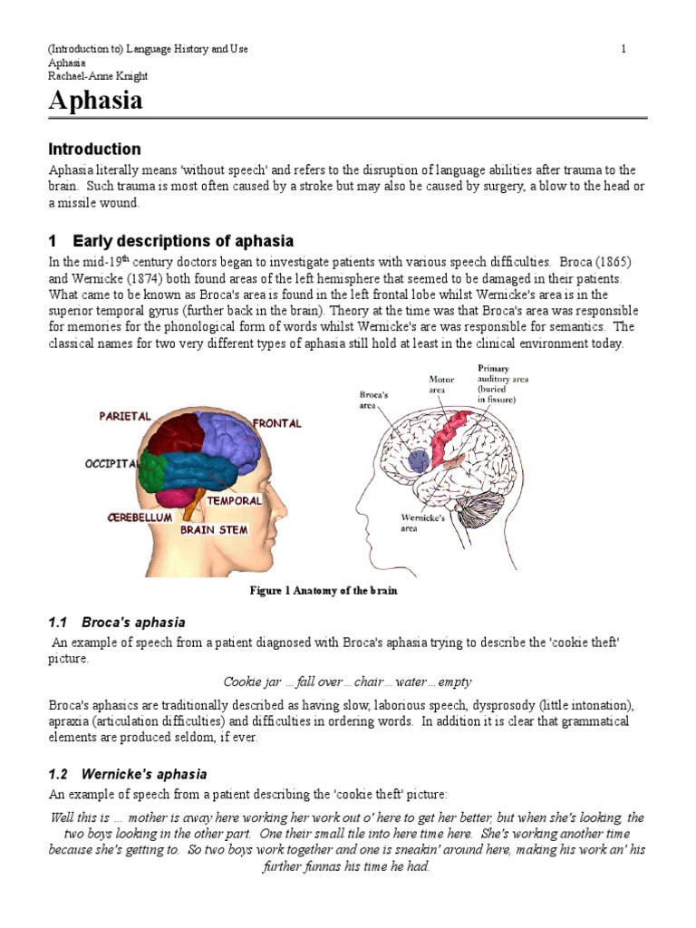 Understanding Aphasia: Types and Impacts | PDF | Aphasia | Linguistics