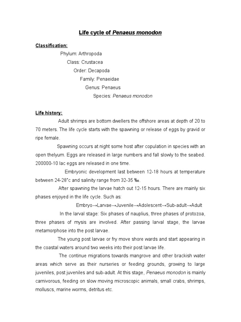 Life Cycle of Prawn | Download Free PDF | Spawn (Biology) | Organisms